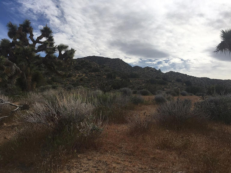 BLM reverses Biden-era rule, securing off-road access to 245 million ...