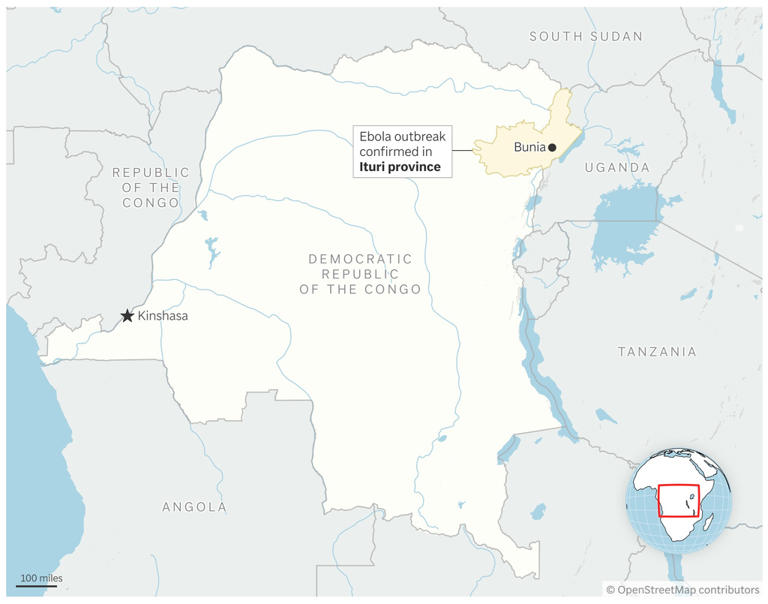 WHO declares global health emergency over Ebola outbreak in Congo and ...