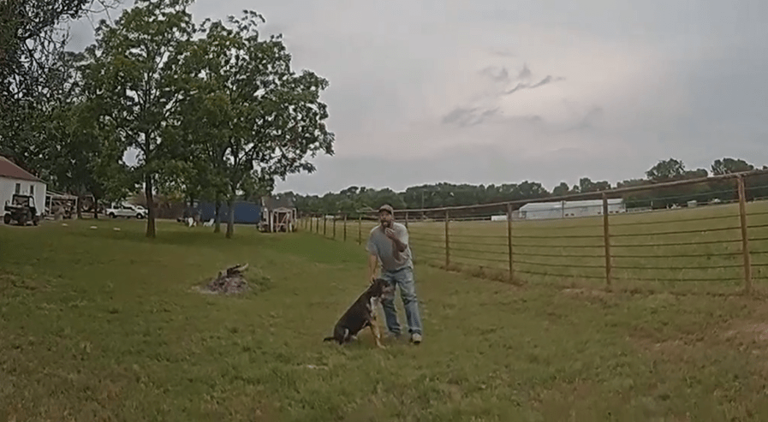 WATCH: Arp Police releases bodycam video after officer shoots dog