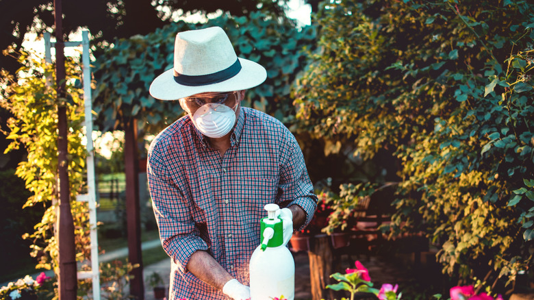 Disadvantages of using vinegar in the garden (& what to use instead)
