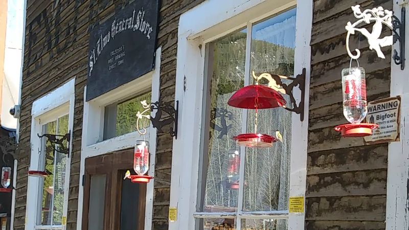 Step inside Colorado’s best-preserved ghost town general store, still ...