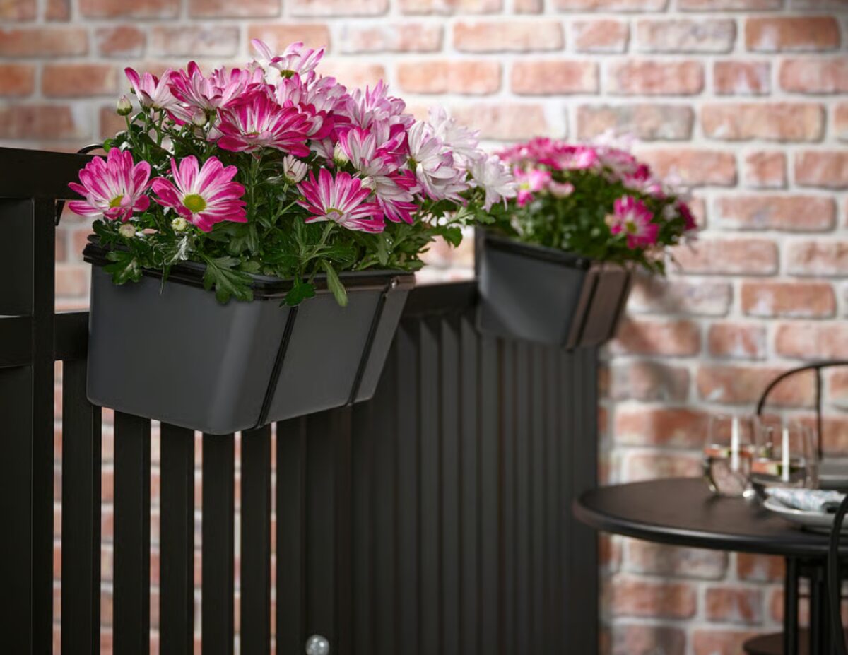 Video – IKEA taglia i prezzi sulle piante: casa e balcone cambiano con ...