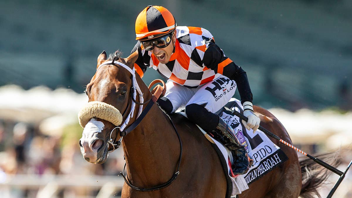 Racetrack roundup: Grade 1 winner, Kentucky Derby starter Intrepido to ...