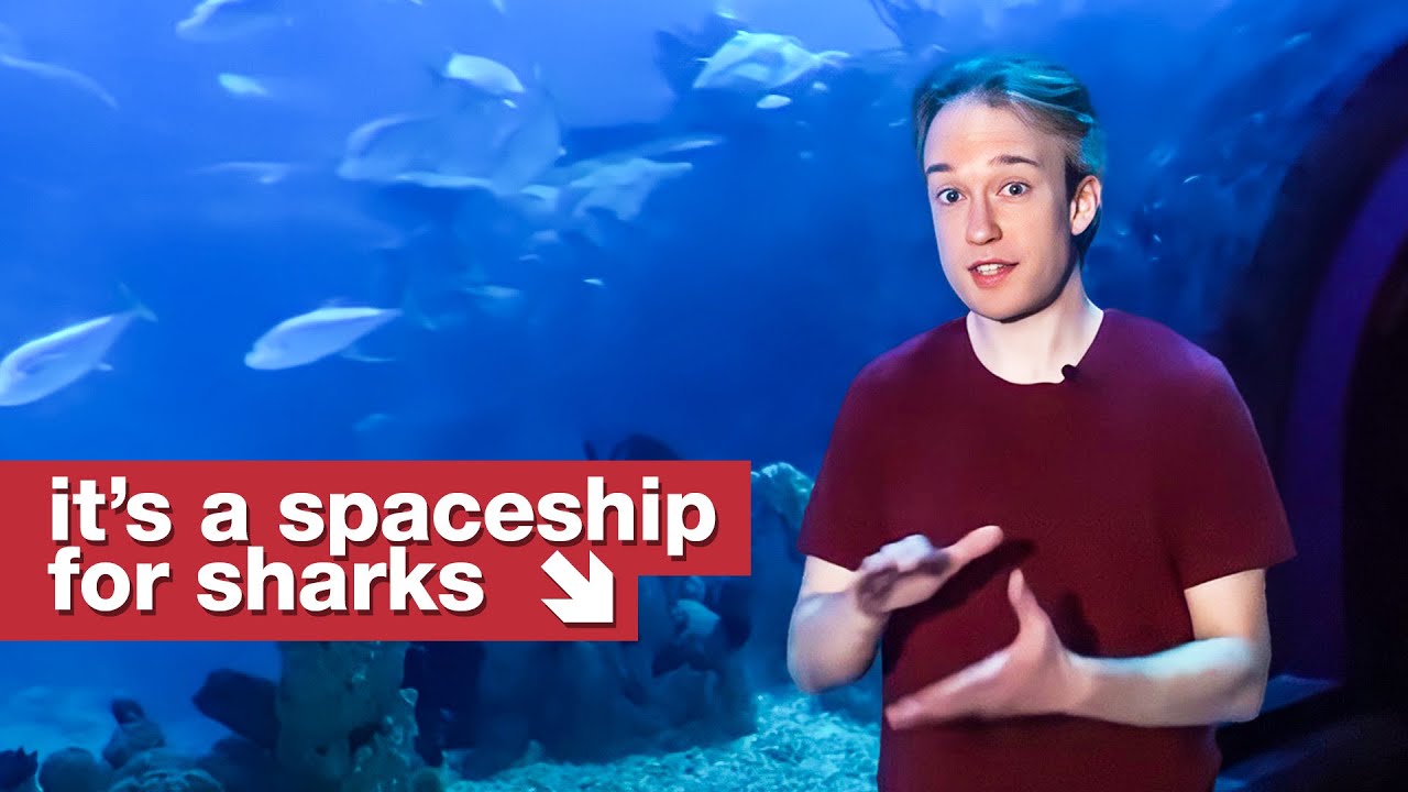 This changed my mind about aquariums