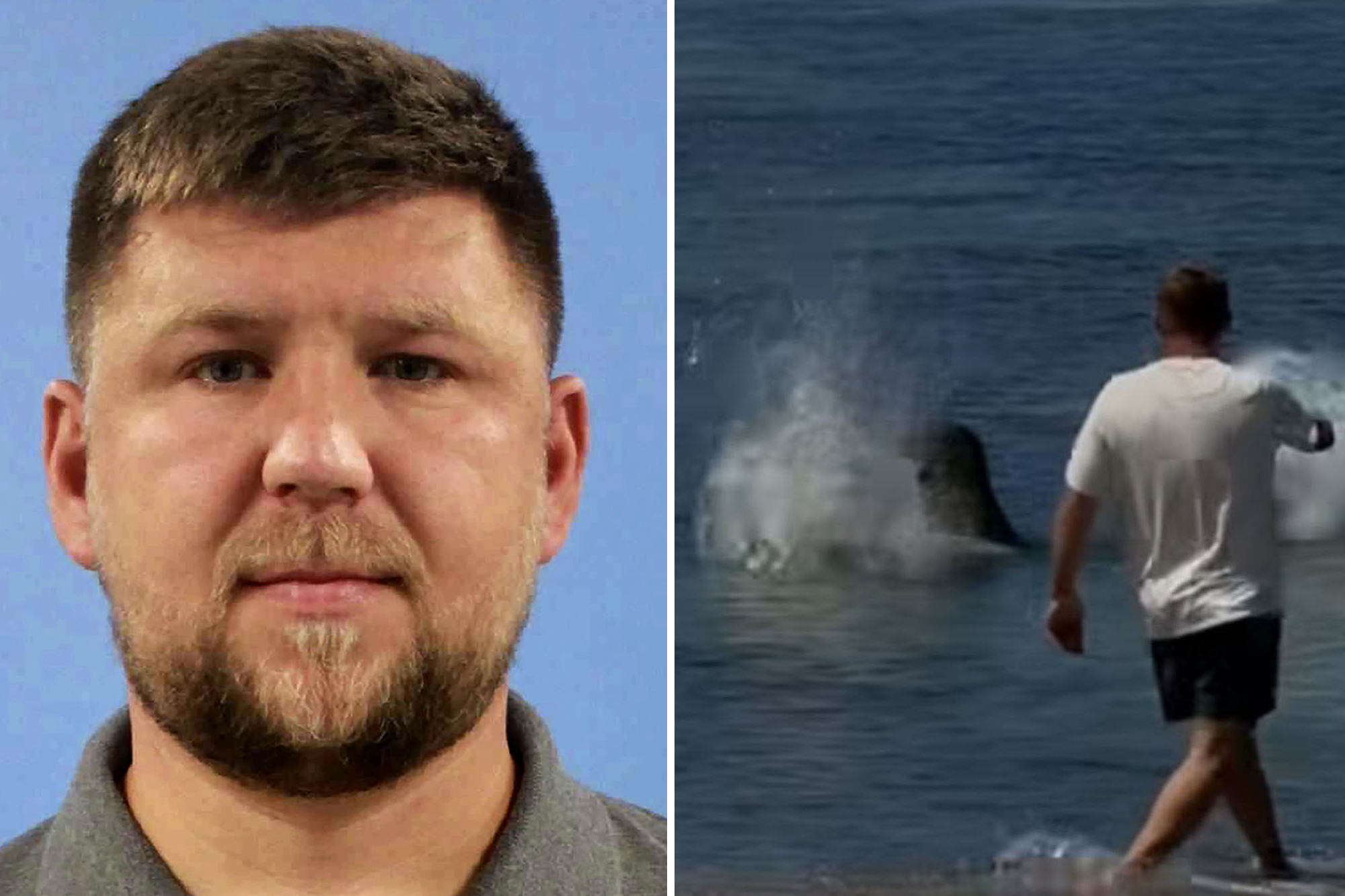 Arrogant tourist who threw huge rock at Hawaiian seal gives ridiculous ...