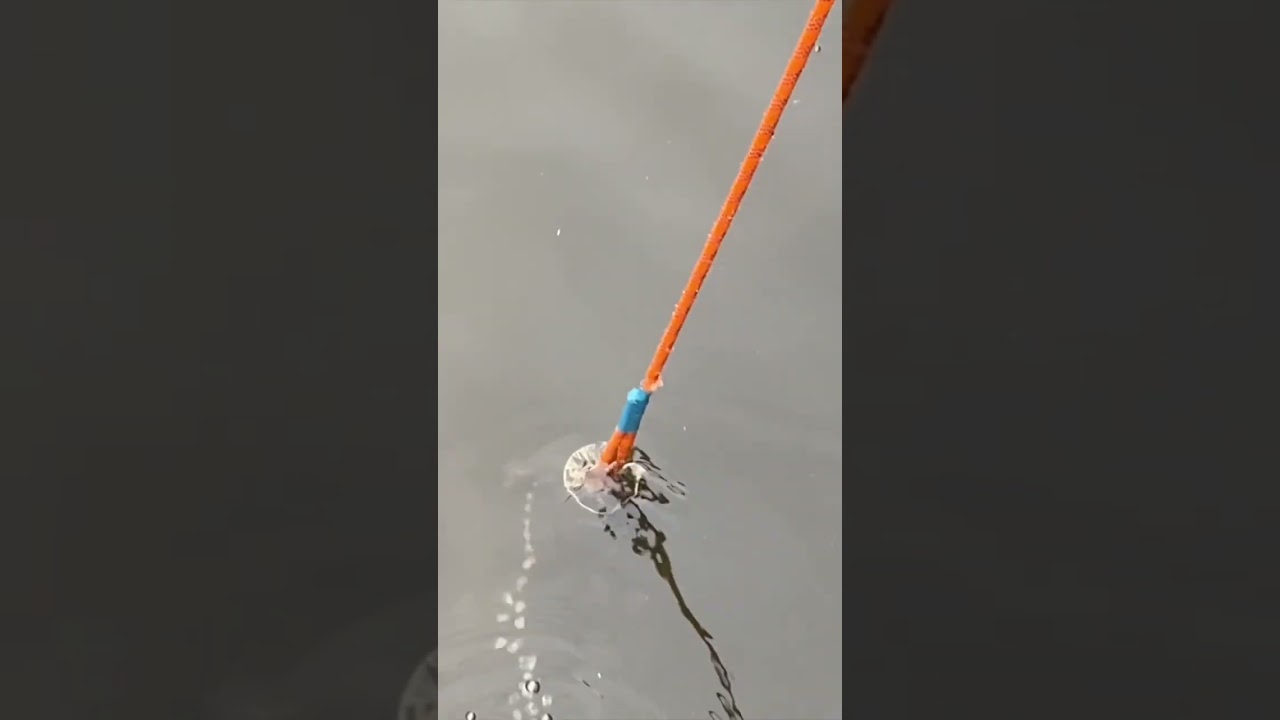 Magnet fishing in the Netherlands