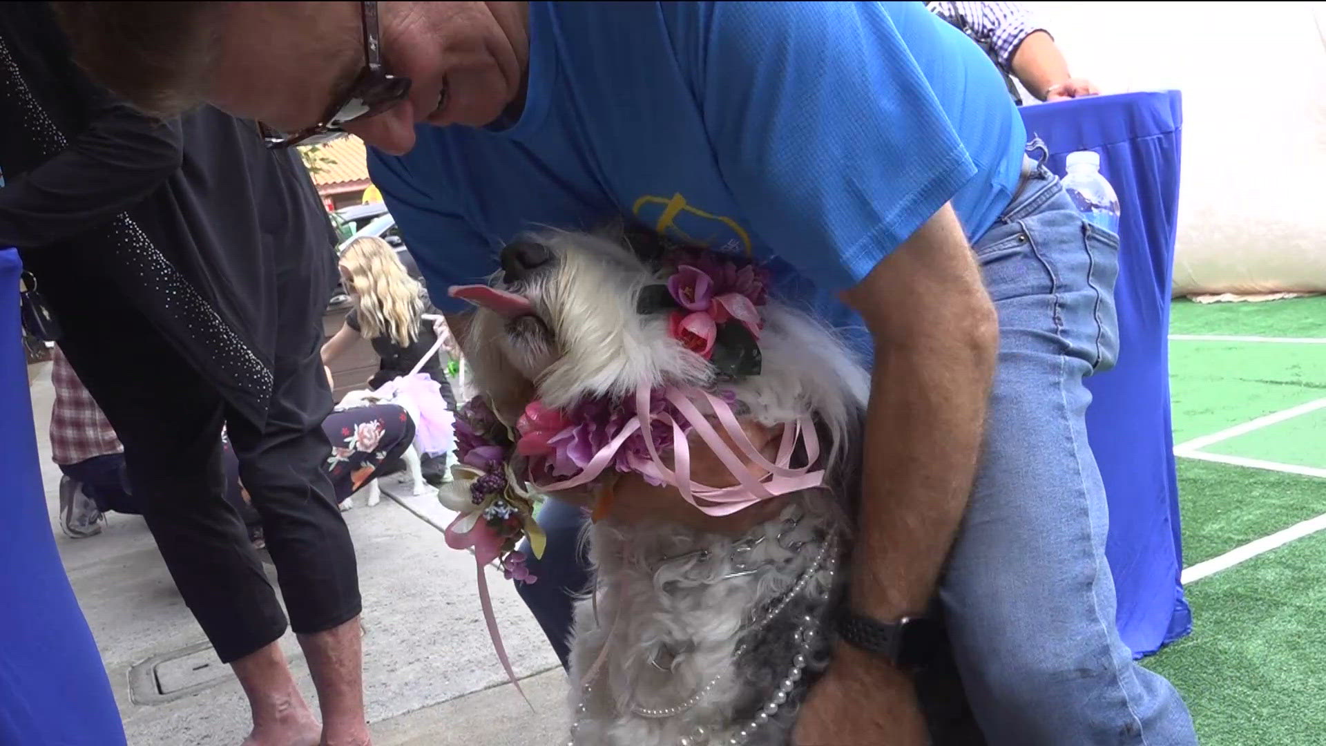 Helen Woodward hosts 12th annual puppy prom