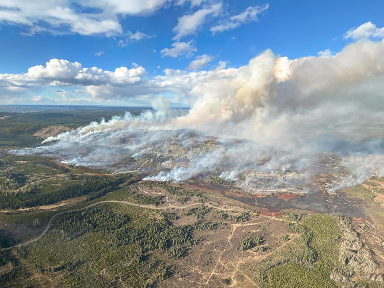Quatre feux de forêt brûlent dans la région de Lac La Biche