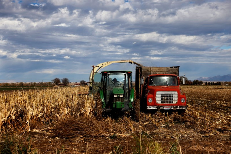 China to buy at least $17 billion in US agricultural products annually ...