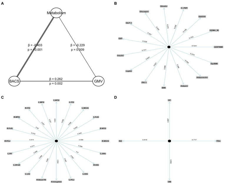 Metabolic health emerges as key to brain and memory problems in bipolar ...