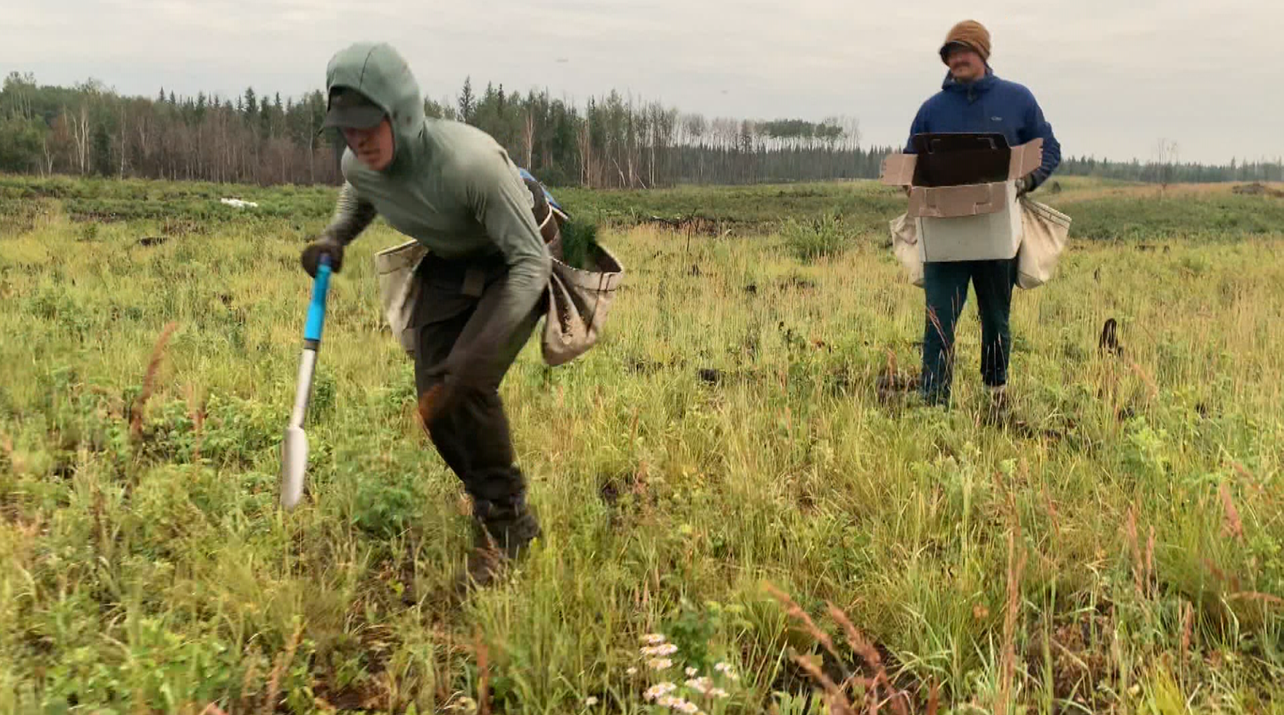 Vancouver man breaks his own tree planting world record