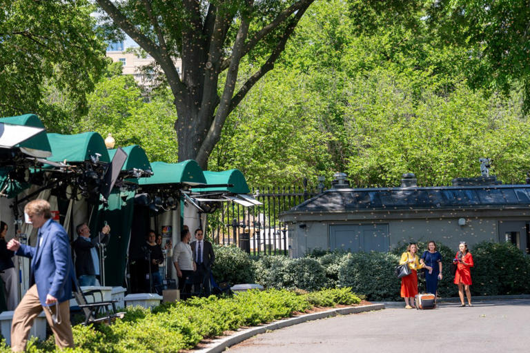 Massive 'bee tornado' swarms White House grounds — bombards press corps