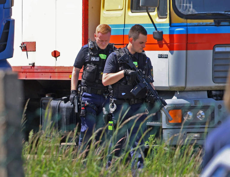 German police kill escaped tiger, one animal handler seriously injured