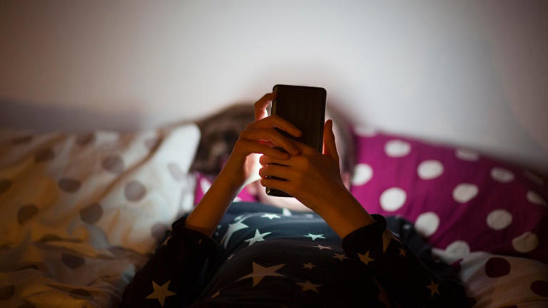 Bill restricting social media accounts for children passes Minnesota Senate