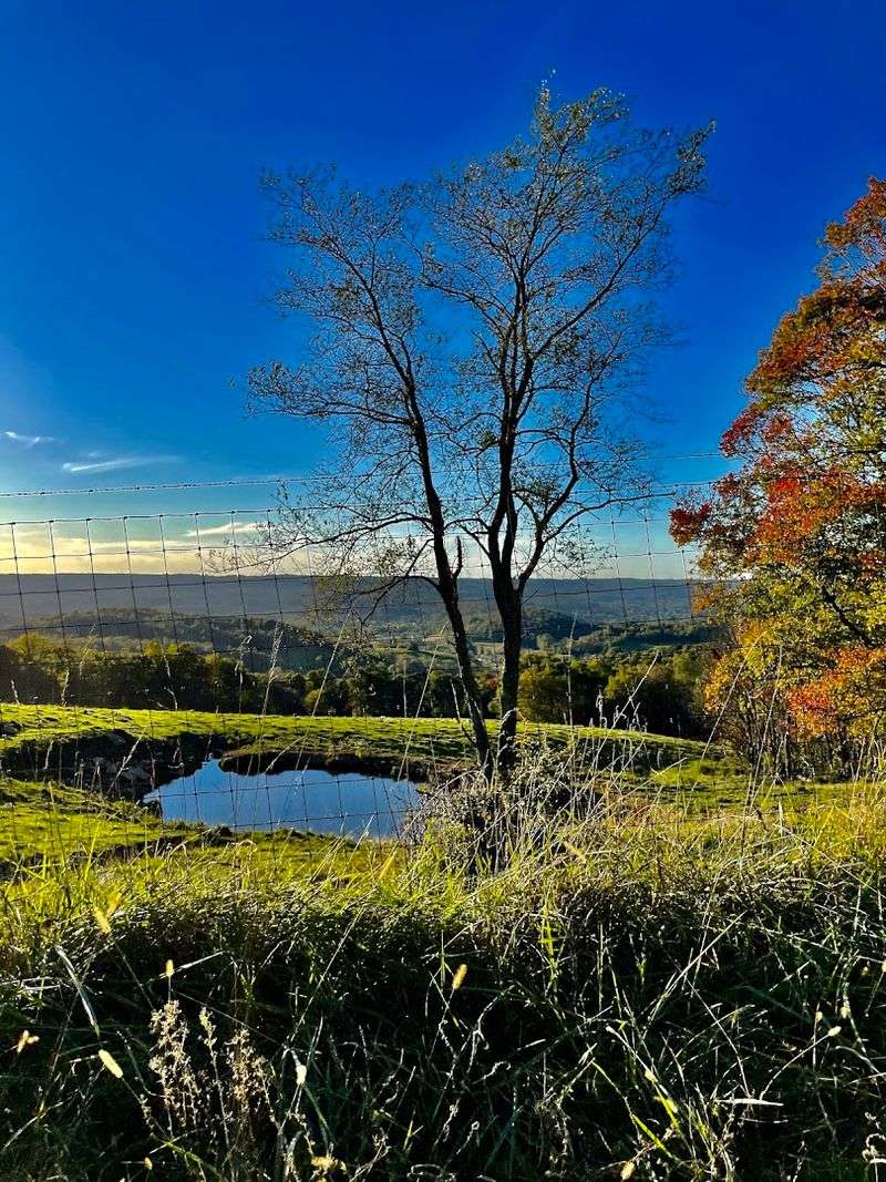 This tiny West Virginia town offers mountain views, a historic Main ...