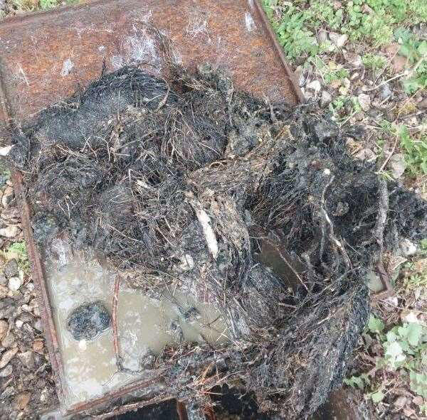 Southern Water reveals AI-controlled ‘smart sewer’ technology prevents ...