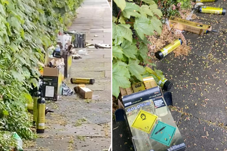 Aussie council considers major bin move as 'extremely dangerous' trend ...