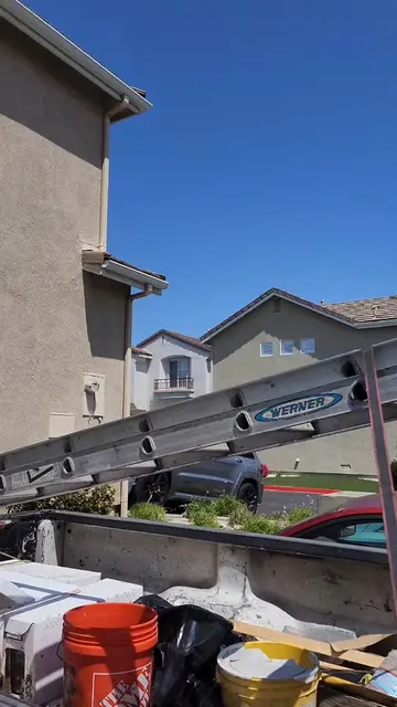 Removing an eight year old beehive from a dryer vent