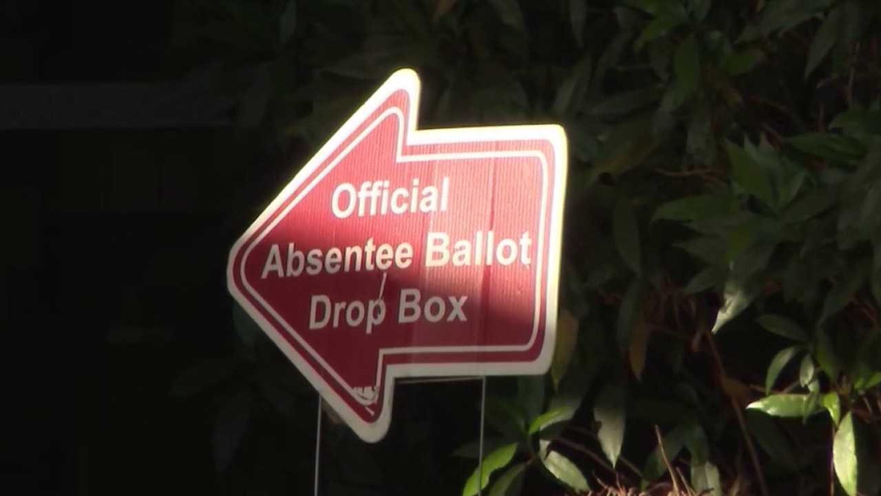 Georgia voters prepare to vote in the primaries