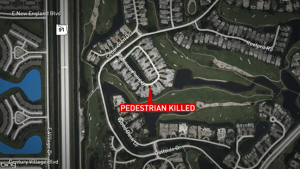 90-year-old Boca Raton woman dies after stepping from driveway into ...