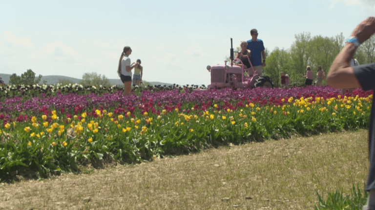 Residents enjoy final day of flowery festival