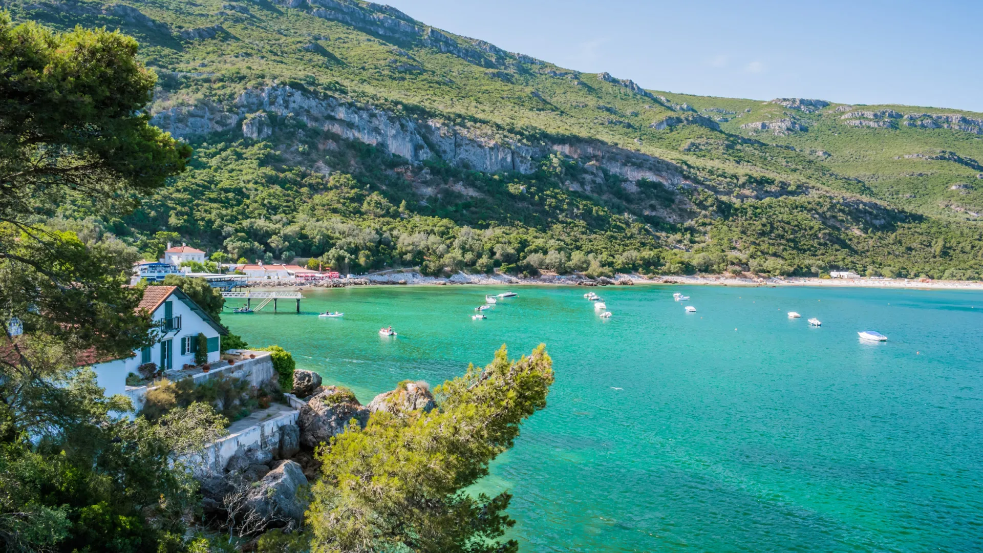 Baleia morta dá à costa no Portinho da Arrábida. Está presa em buraco