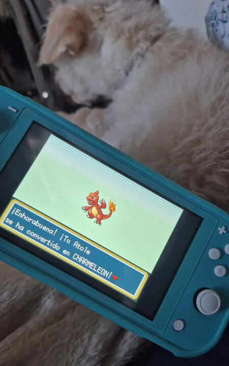 Compré un Nintendo Switch Lite en pleno 2026 y ahora estoy enamorado ...