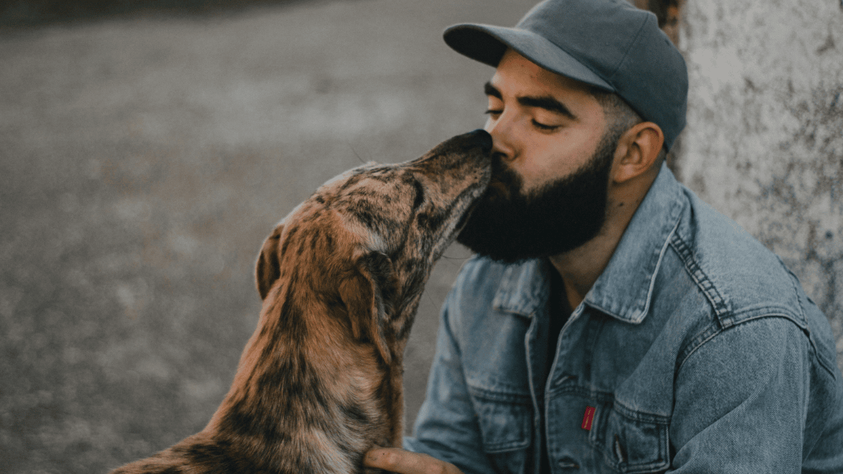 9 habits dogs only develop with humans they deeply love