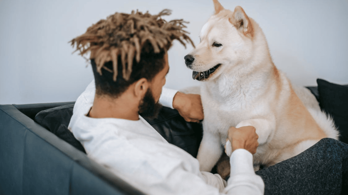 10 signs your dog is emotionally attached to you, according to experts
