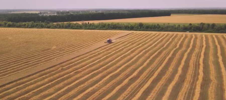 Kentucky governor proposes solutions for rising fertilizer costs