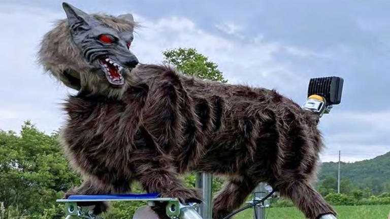 Japan can’t make robot wolves fast enough to counter the rise in bear ...