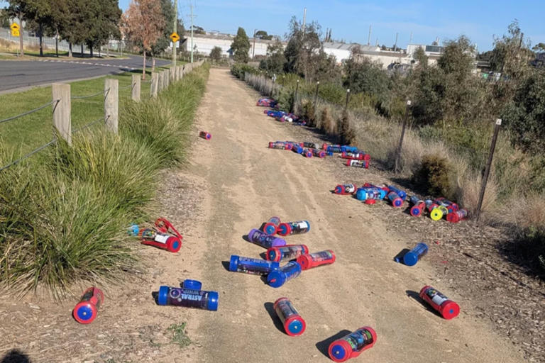Aussie council considers major bin move as 'extremely dangerous' trend ...