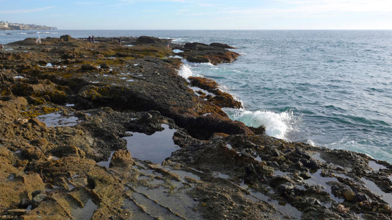 California's coast boasts a top beach resort with tide pool trails and ...