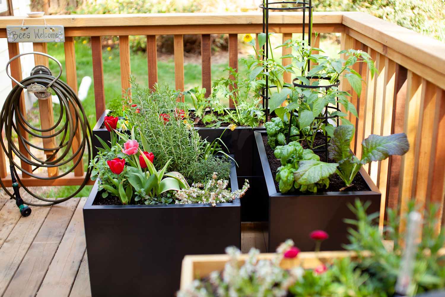 Stop throwing out these 3 kitchen scraps - use them to garden instead
