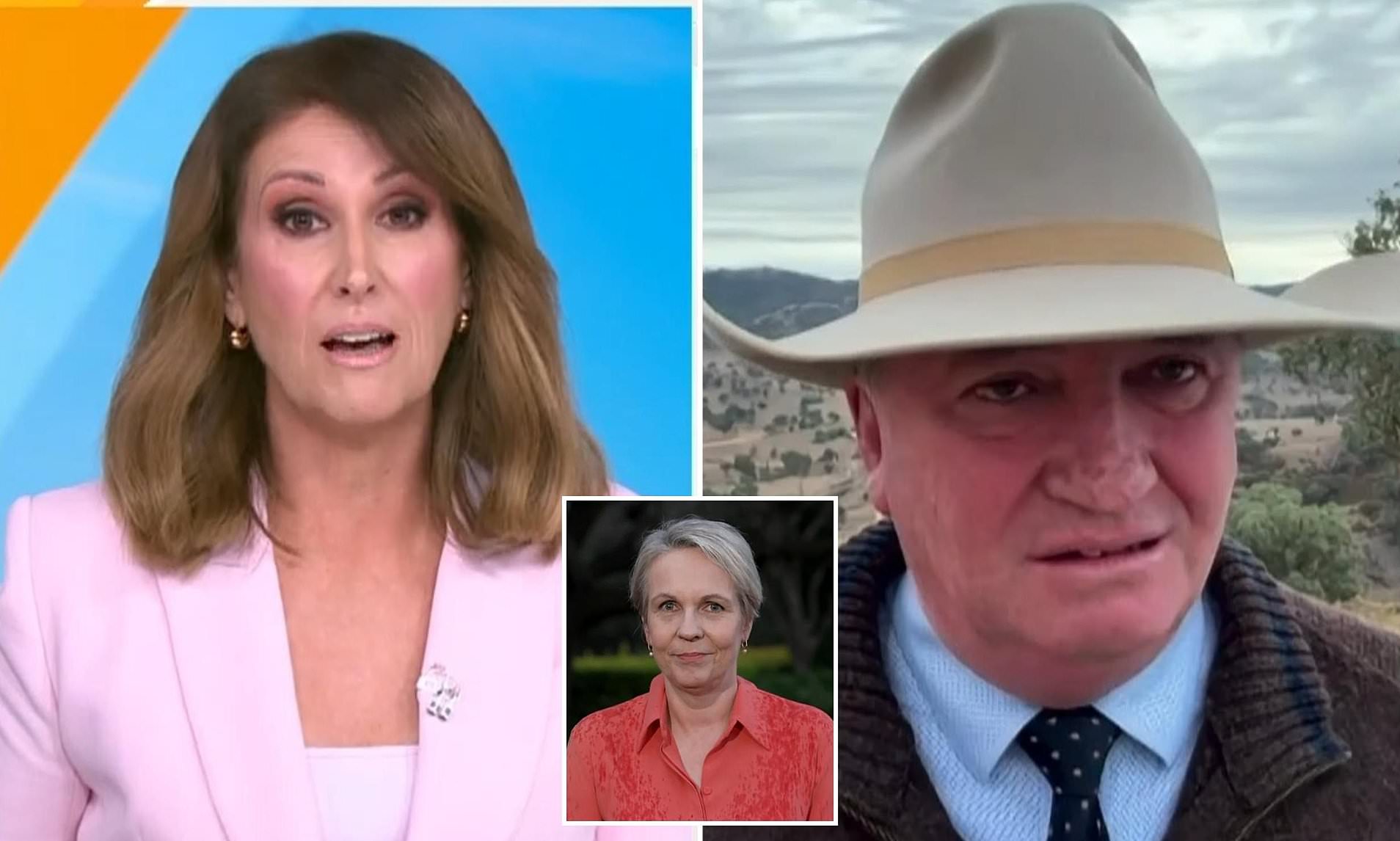 Barnaby Joyce erupts over Labor's 'death tax' change: 'It's socialist'