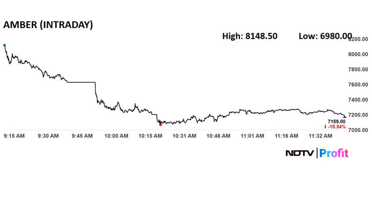 Amber Enterprises' shares slump 17% in trade — here's why