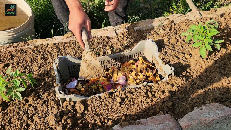 I turned an old fruit basket into a simple worm compost system for my ...