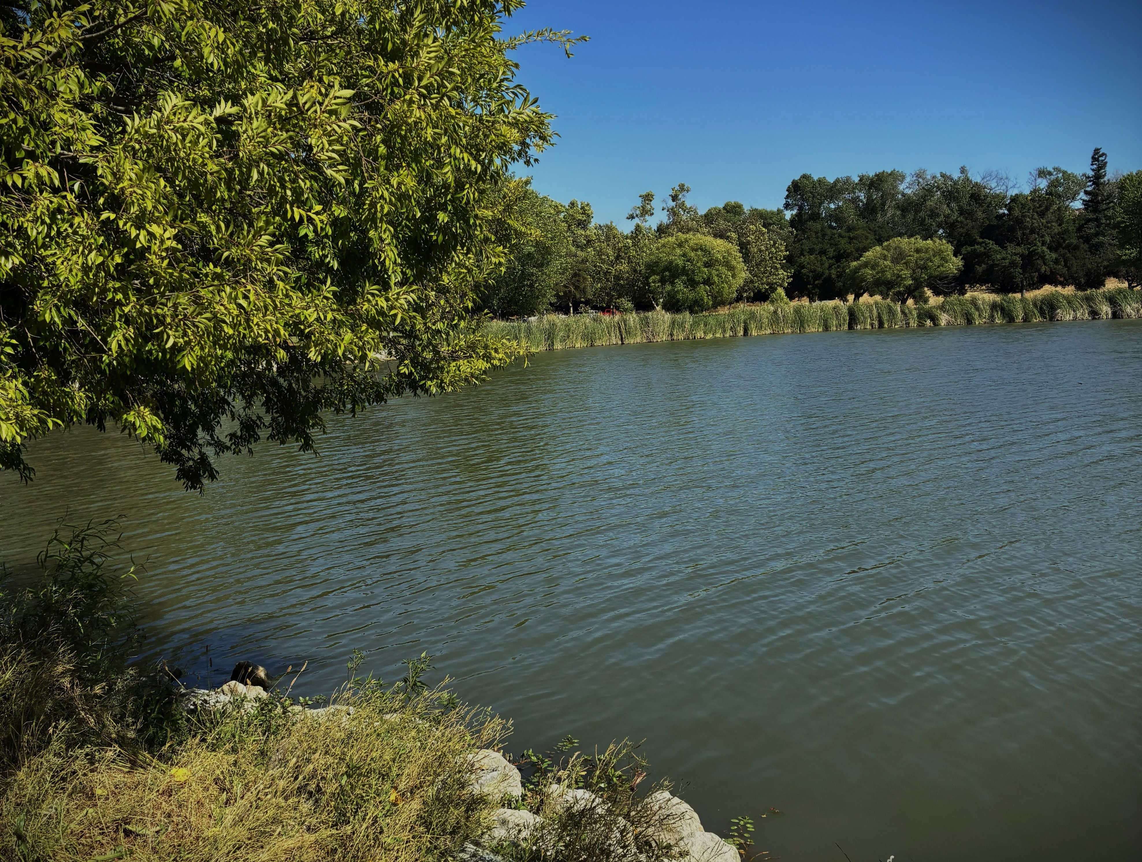 Body recovered after incident at Hellyer County Park in San Jose