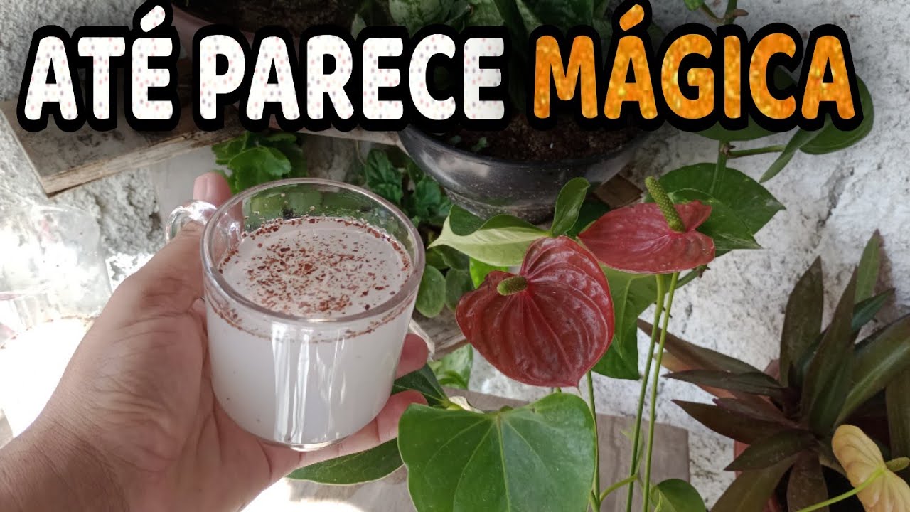Flores em abundância com este adubo caseiro simples e eficaz