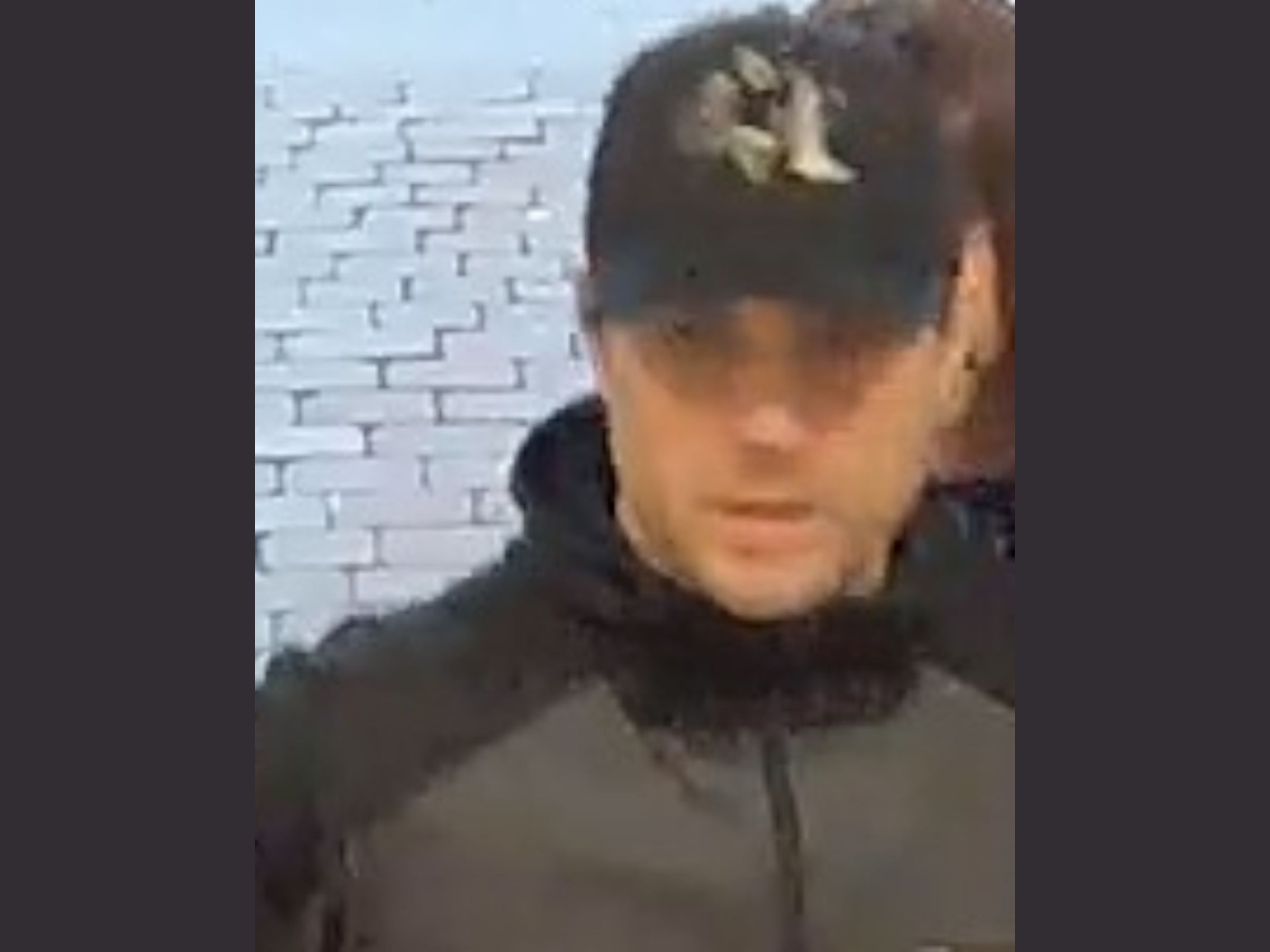 Caught on camera: 23 photos from West Yorkshire Police this week of ...