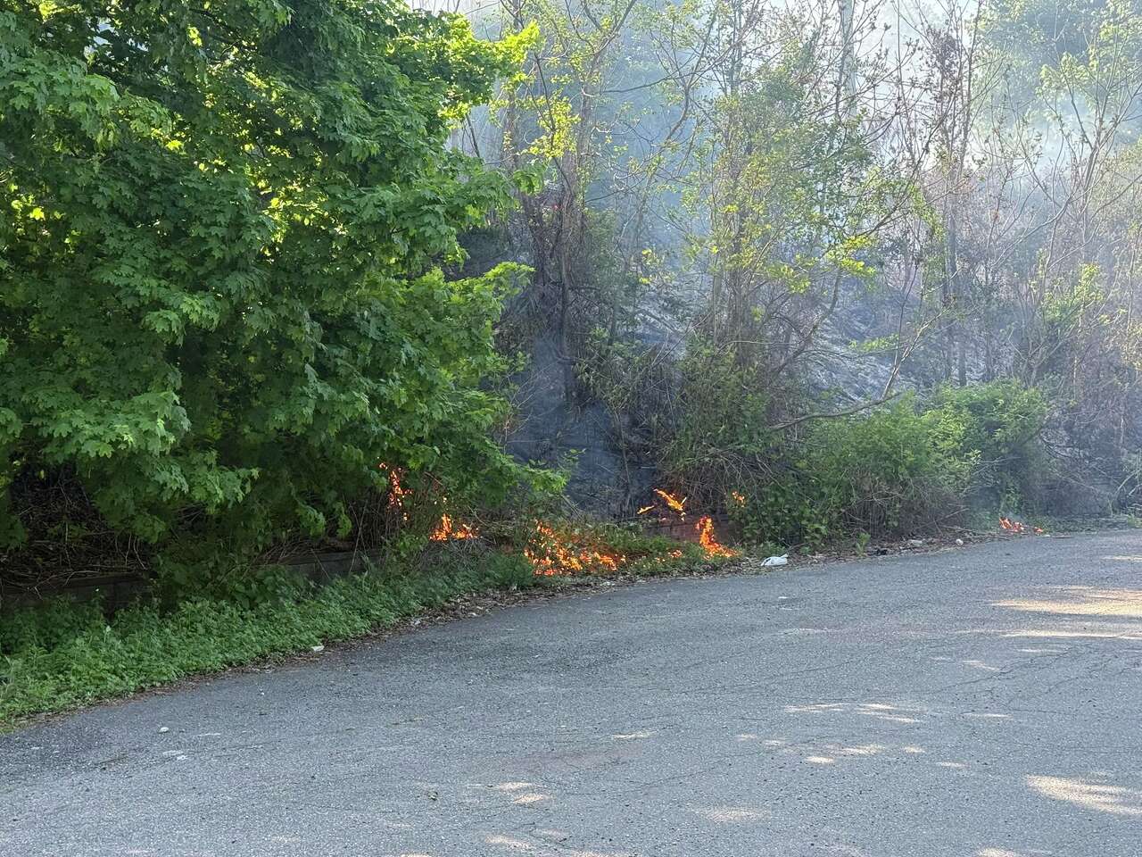 Power line failure sparks brush fire, outages in Naugatuck, fire crew says