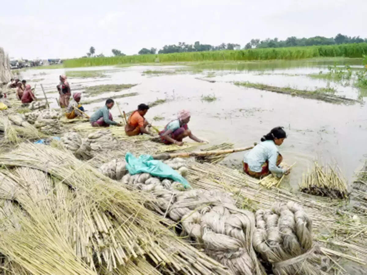Jute industry seeks new Bengal Govt's intervention to tide over raw ...