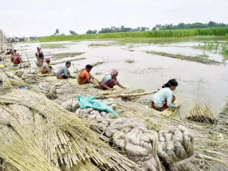 Jute industry seeks new Bengal Govt's intervention to tide over raw ...