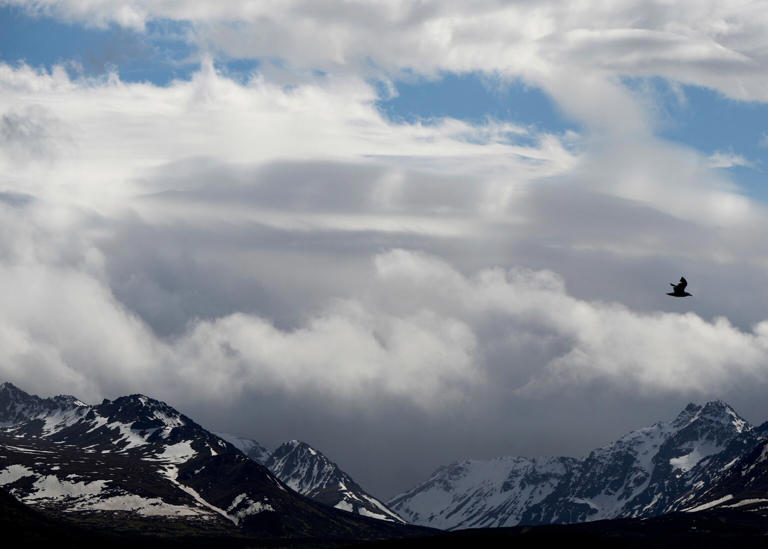 A frozen arm and hand in Alaska, the Fitzpatrick clan and catching ...