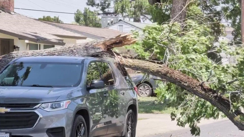 Sacramento-area crews respond to fires, downed trees amid high winds