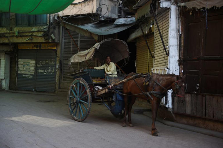 Amid PM Modi’s 'save fuel' appeal, nostalgic comeback for tongas in Jammu