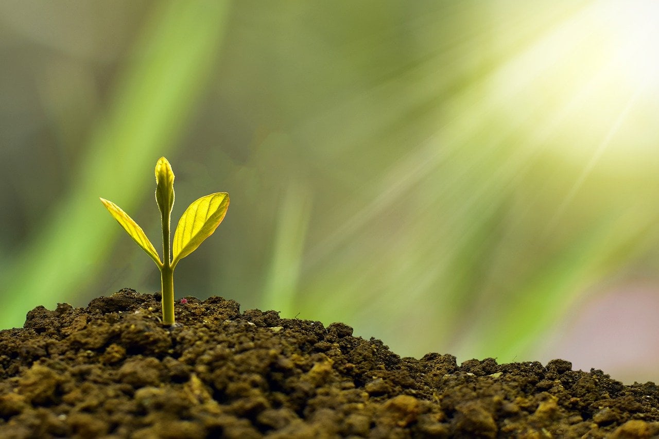 IMU terreni agricoli 2026: chi paga, esenzioni e istruzioni per il calcolo