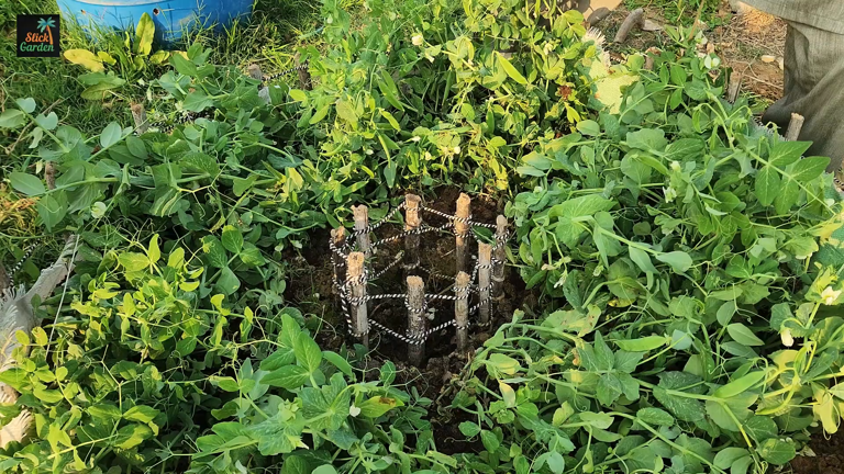 I turned an old fruit basket into a simple worm compost system for my ...