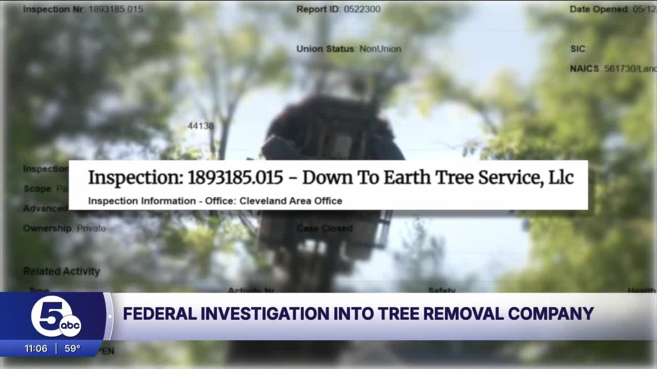 Social: Tree company that tipped crane, damaged homes now under OSHA ...