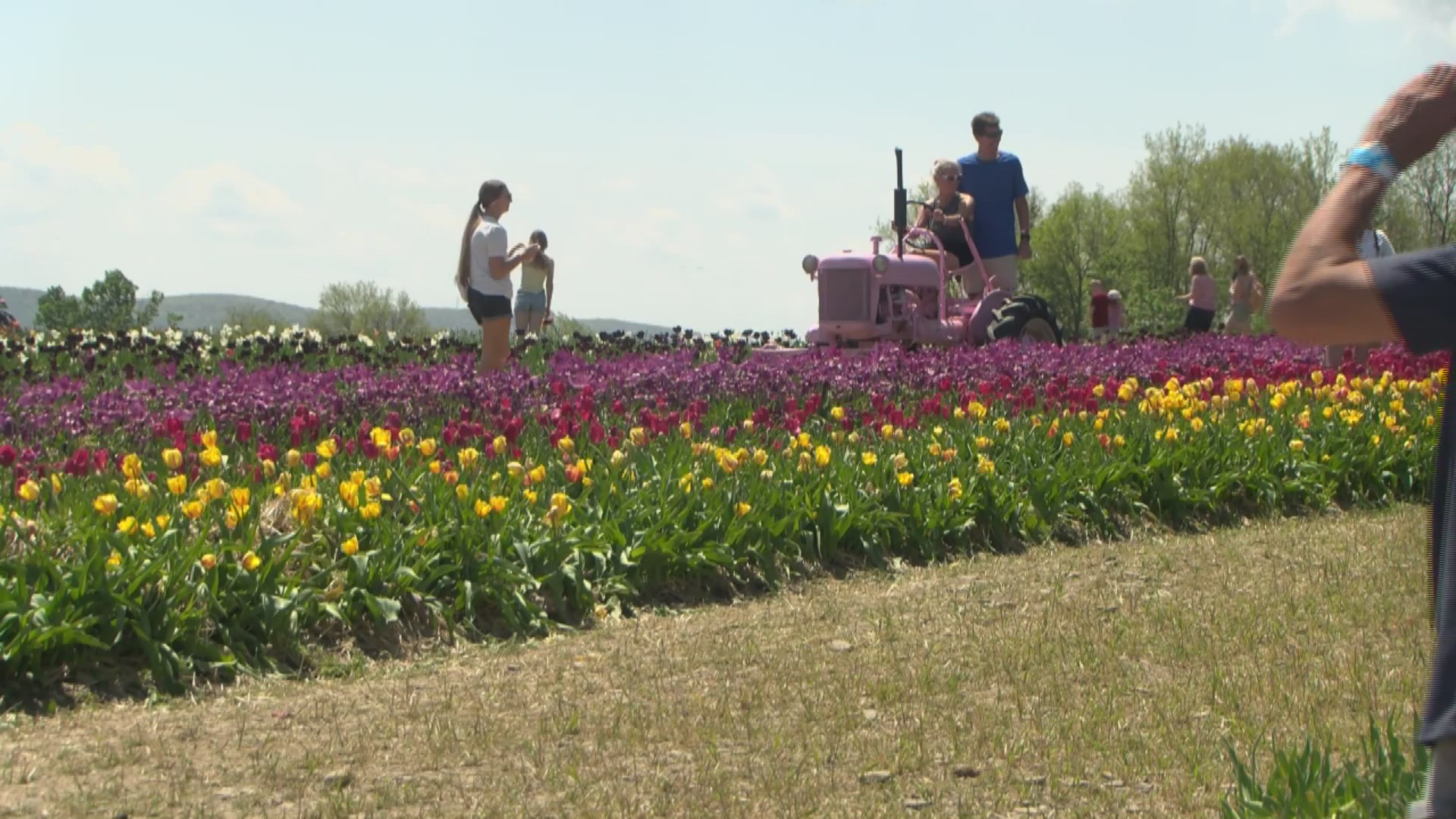 Residents enjoy final day of flowery festival | 28/22 News